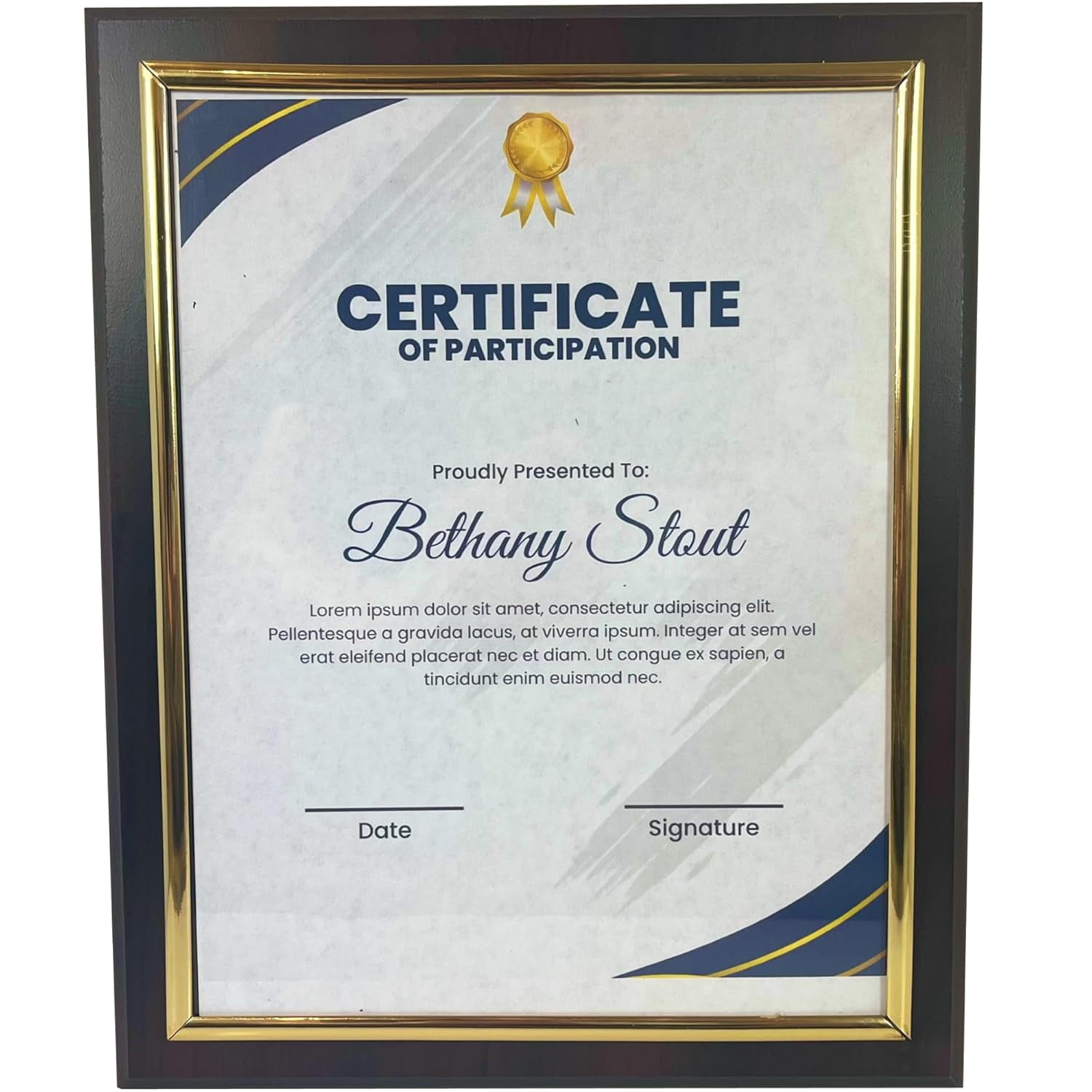 Slide in Certificate Display 10.5x13" Plaque Fits a 8.5x11" Document ...