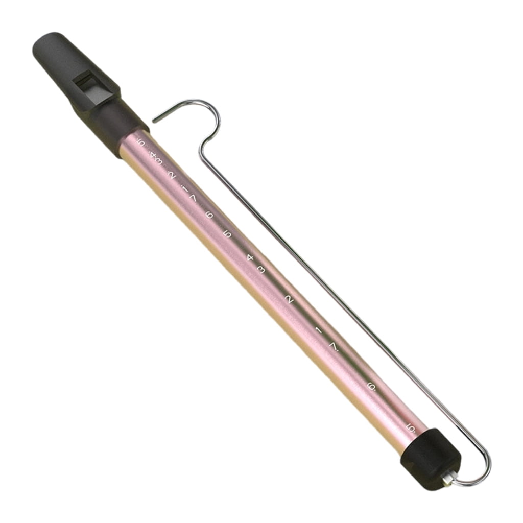 Slide Whistle Musical Instrument Funny Musical Toy Handheld Sliding ...