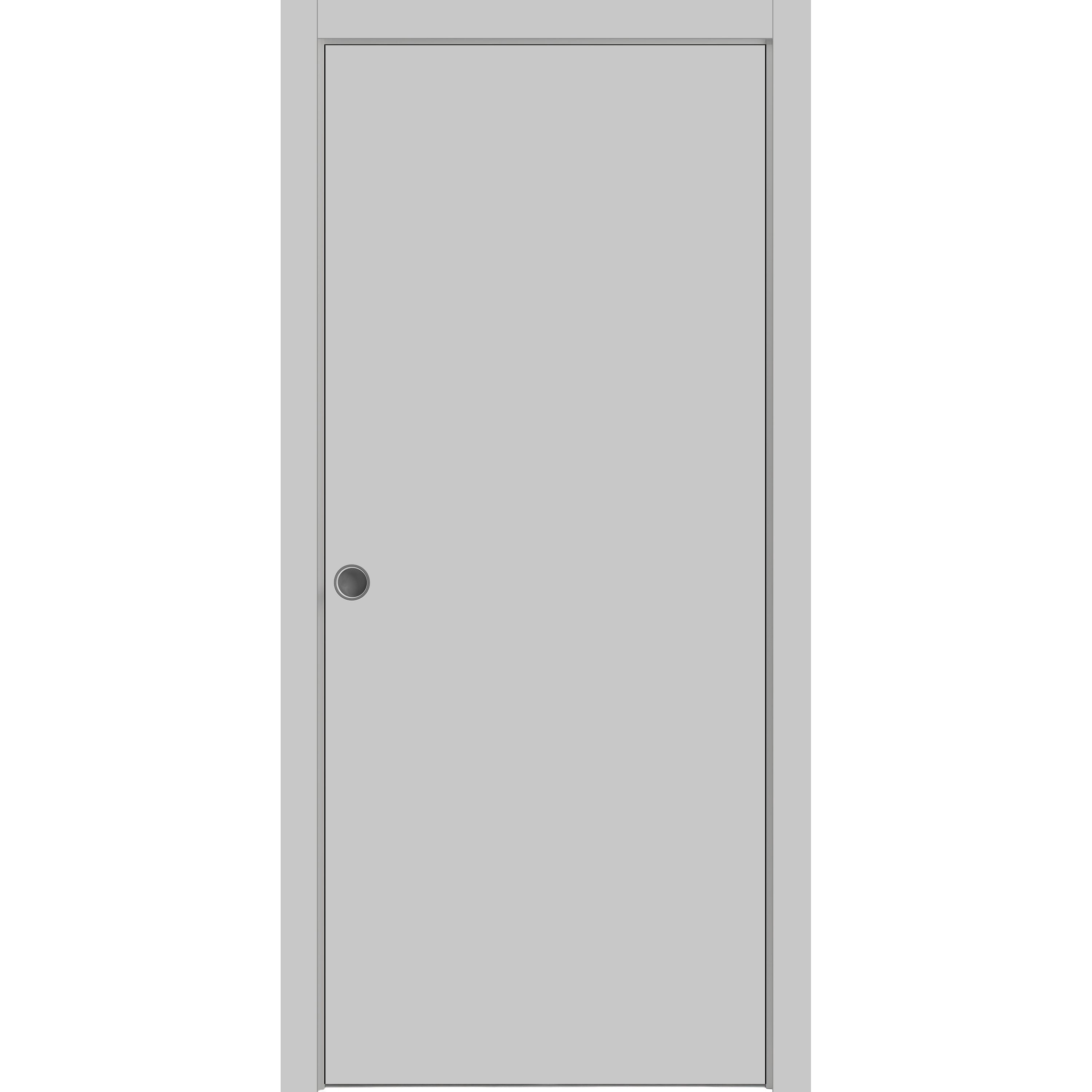Sliding French Pocket Door 42 x 84 inches | Planum 0010 Matte Grey ...