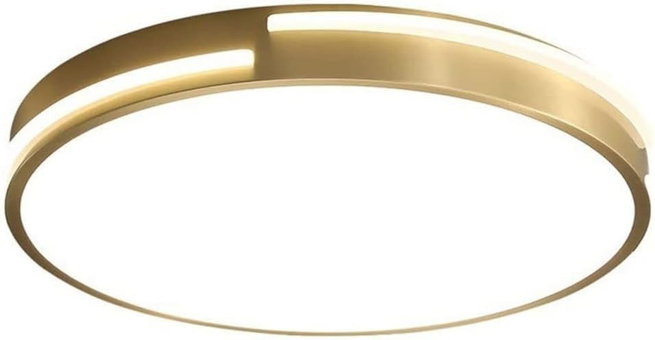 Slim Round Ceiling Light Dimmable LED Flush Mount Ceiling Lamp ...