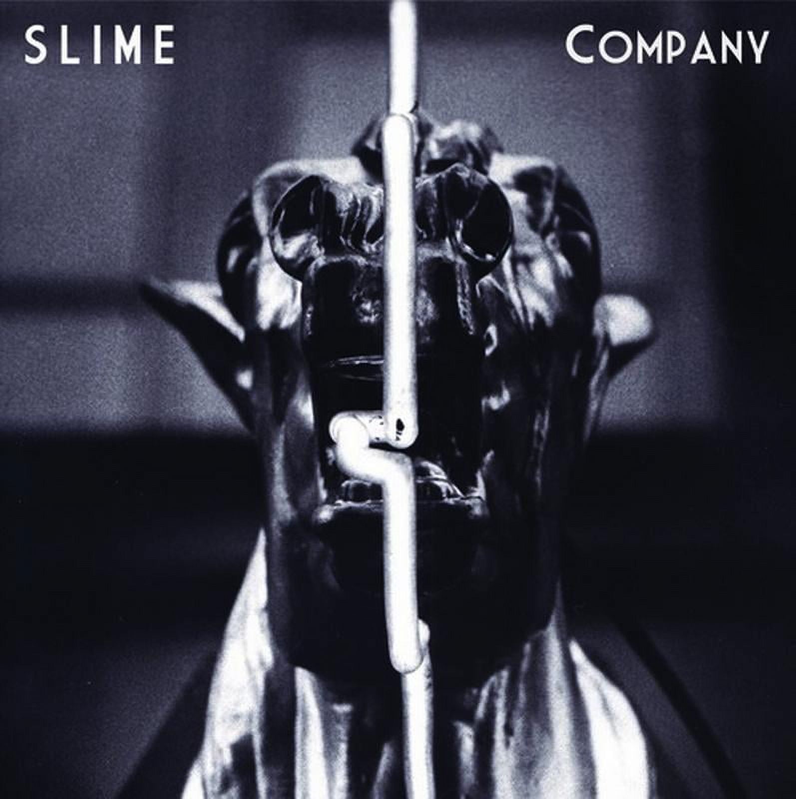 Slime - Company - Electronica - Vinyl - Walmart.com