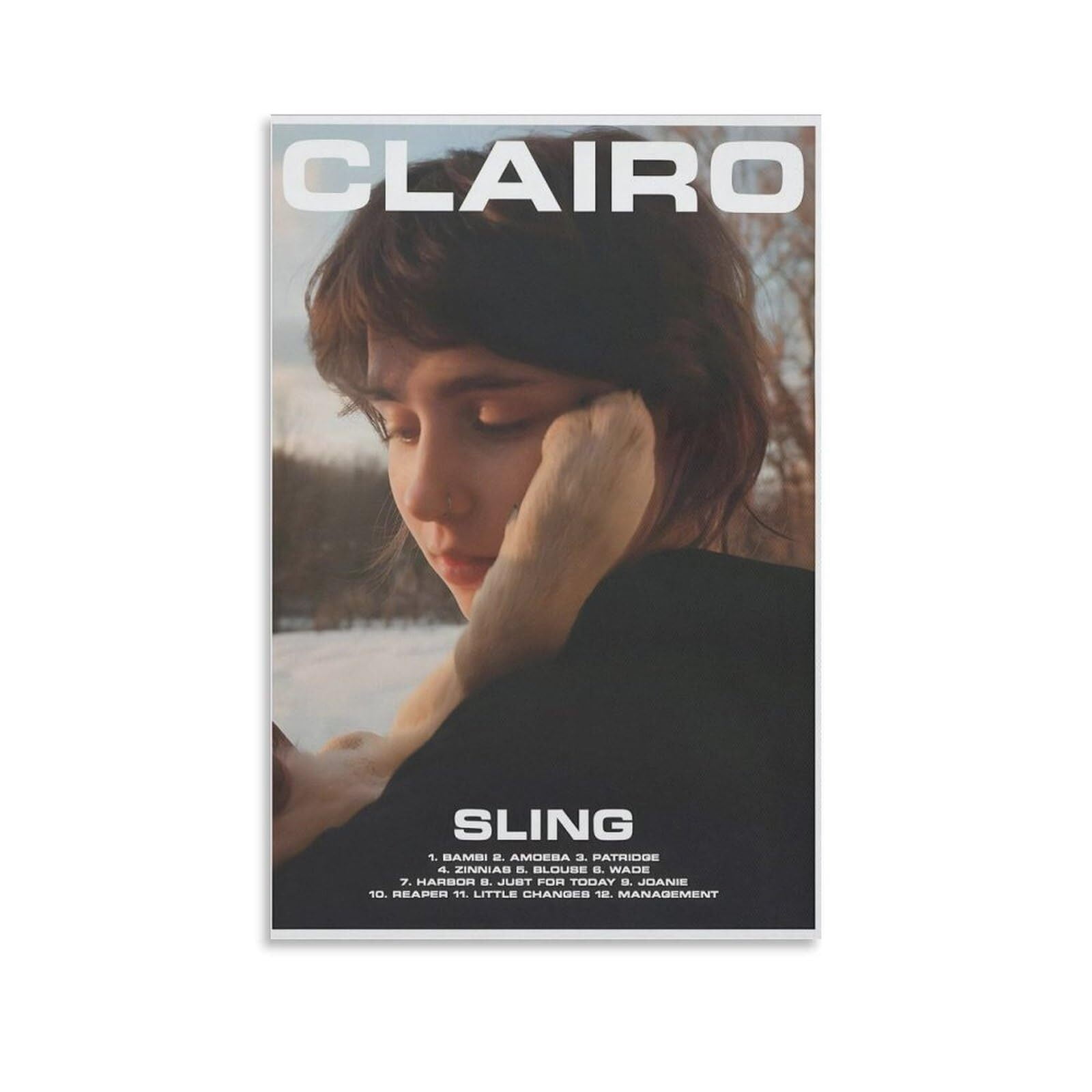 Sling Clairo Canvas Poster Bedroom Decoration Landscape Office ...