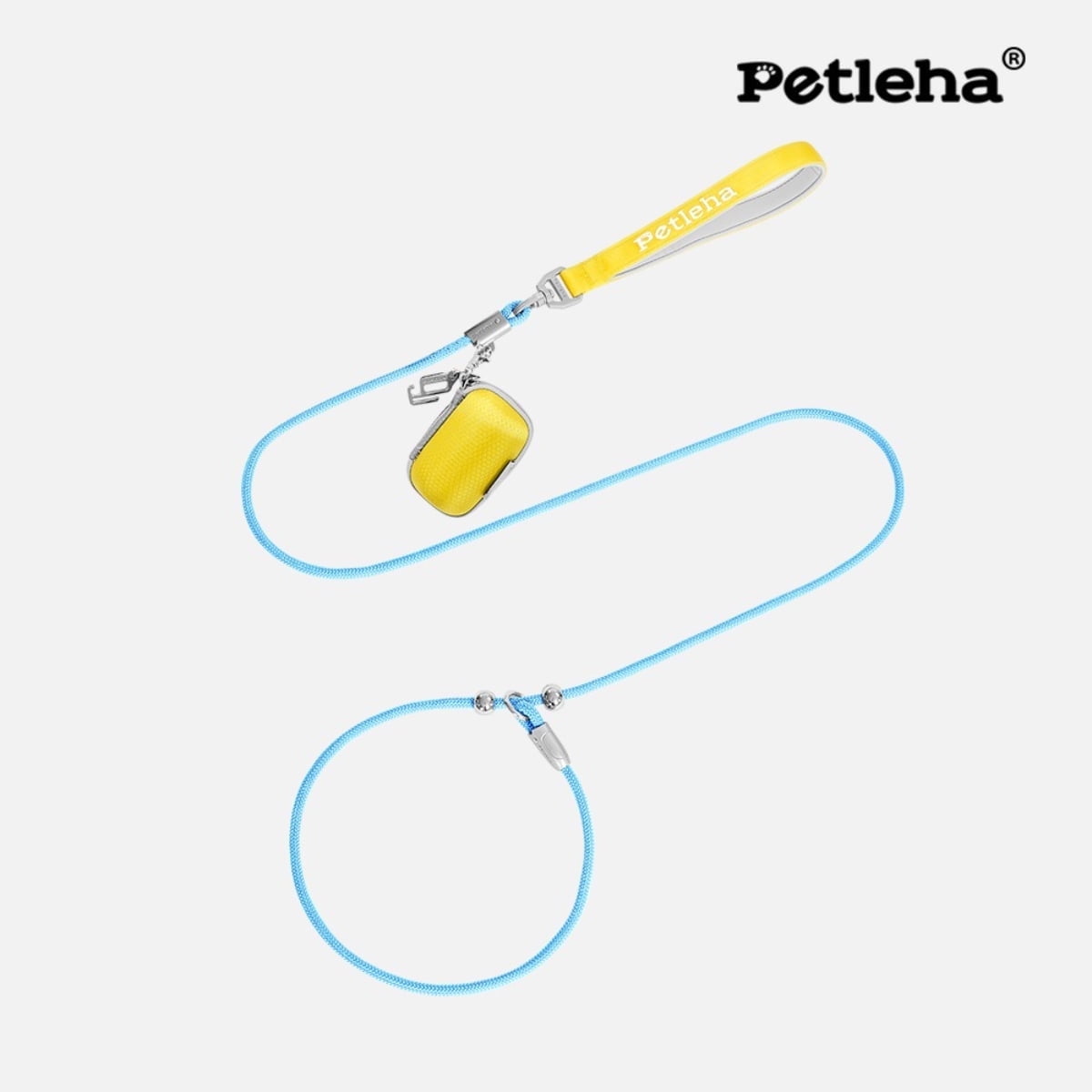 Slip Lead Dog Leash,Professional Training Collar Set,5.25FT for Medium ...