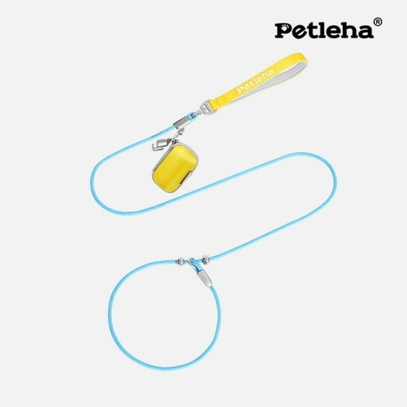 Slip Lead Dog Leash,Professional Training Collar Set,5.25FT for Medium ...