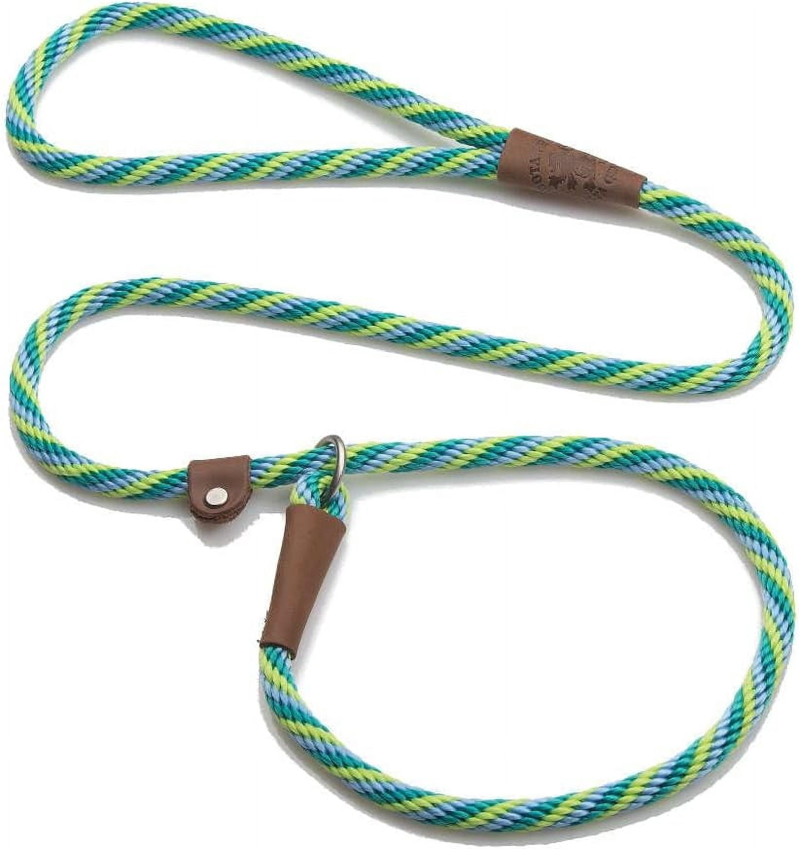 Slip Leash - Dog Lead and Collar Combo - Made in The USA - Amber, 1/2 ...