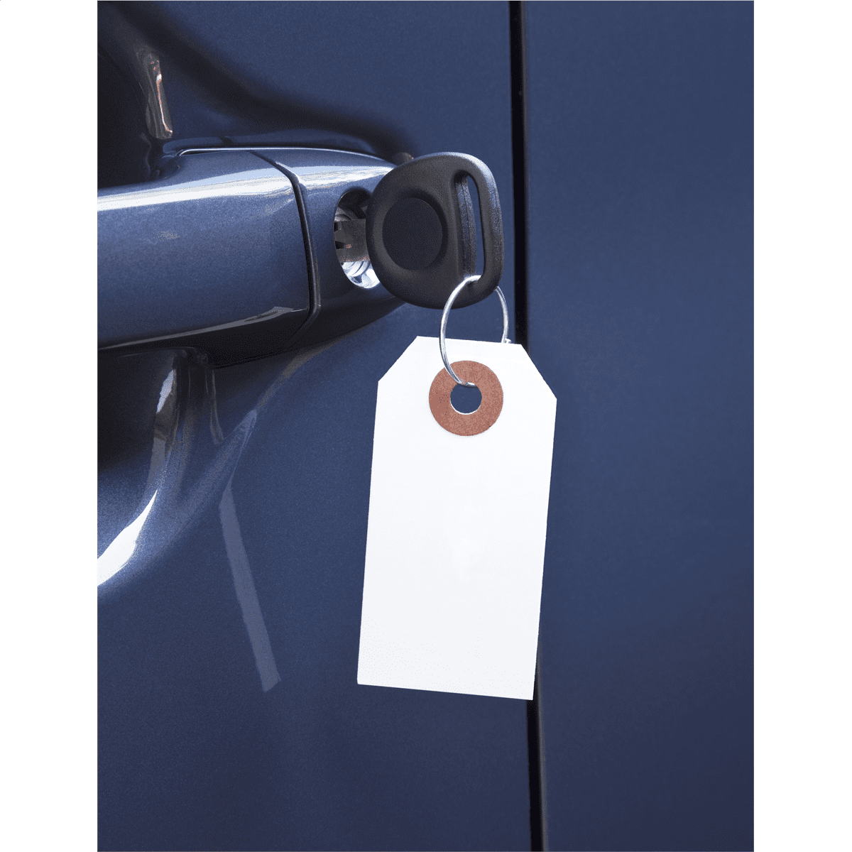 Petoskey Plastics Paper Key Tag w/ Metal Ring 1000/Box - Walmart.com