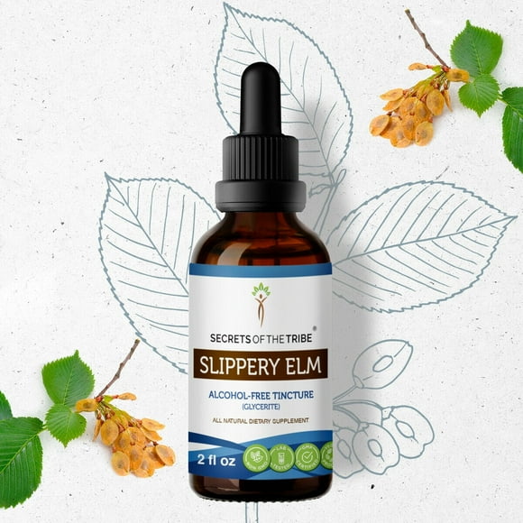 Slippery Elm in Herbal Supplements - Walmart.com