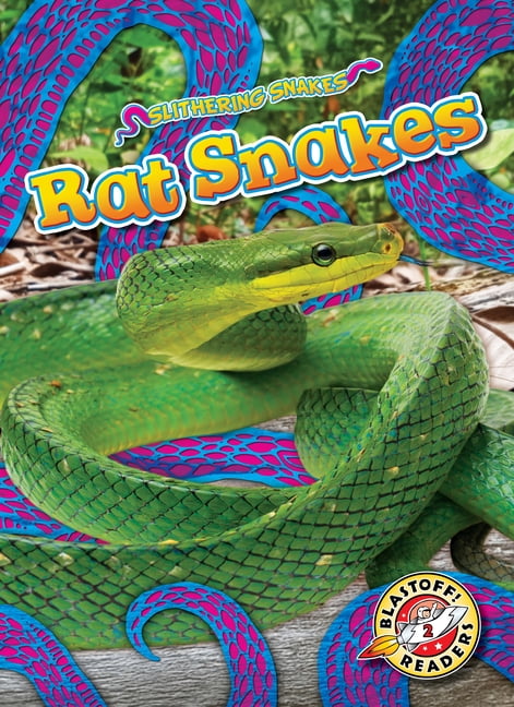 Slithering Snakes Rat Snakes, (Hardcover) - Walmart.com
