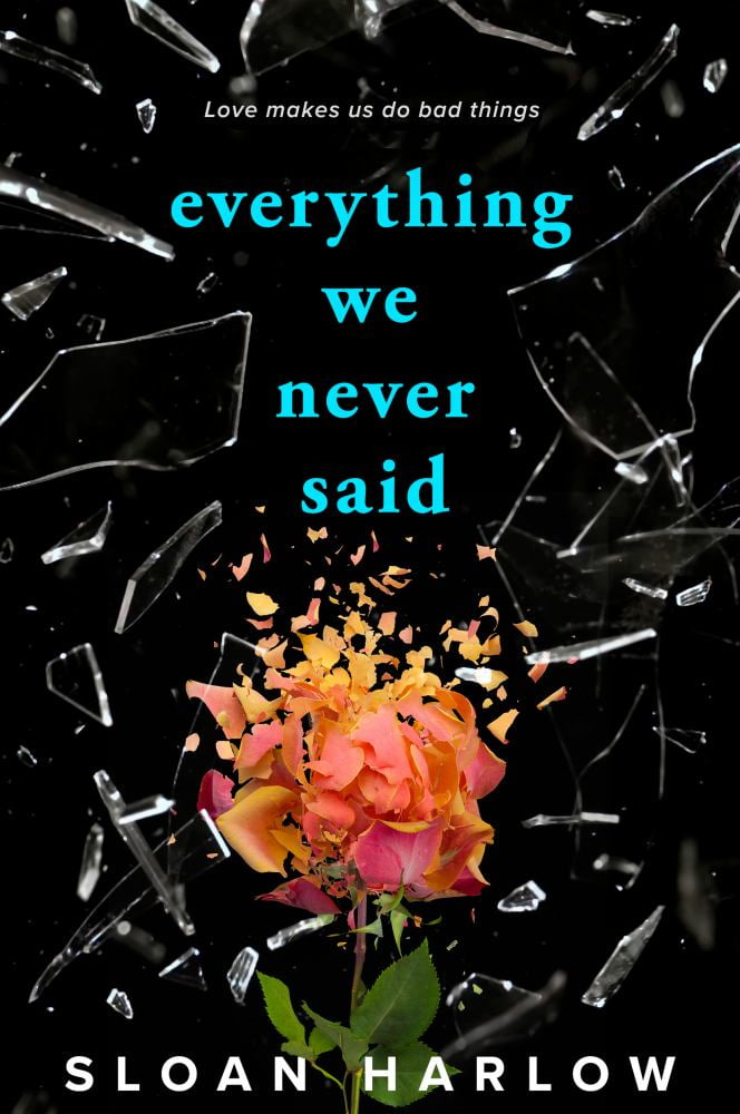 Everything We Never Said (Paperback) - Walmart.com