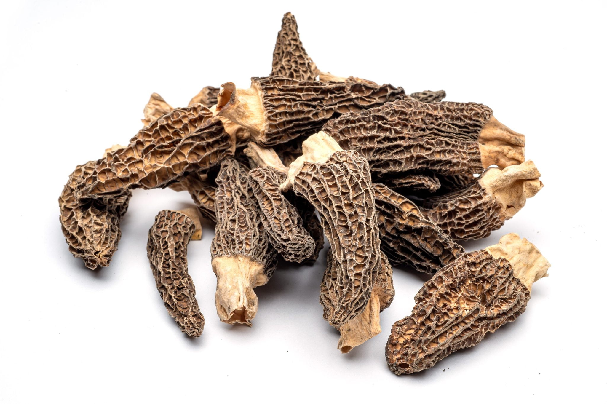 Slofoodgroup Whole Dried Morel Mushrooms | Wild Gourmet Morchellas ...
