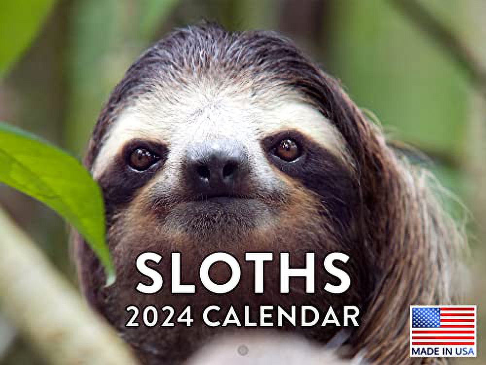 Sloth Calendar 2024 Wall Calender Monthly Sloth Gifts 12 Month ...