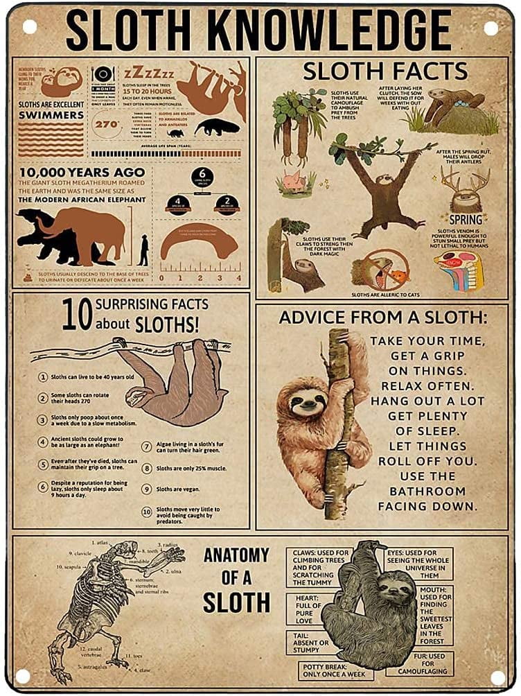 Sloth Infographic Wall Hanging Tin Sign Sloth Knowledge Metal Signs ...