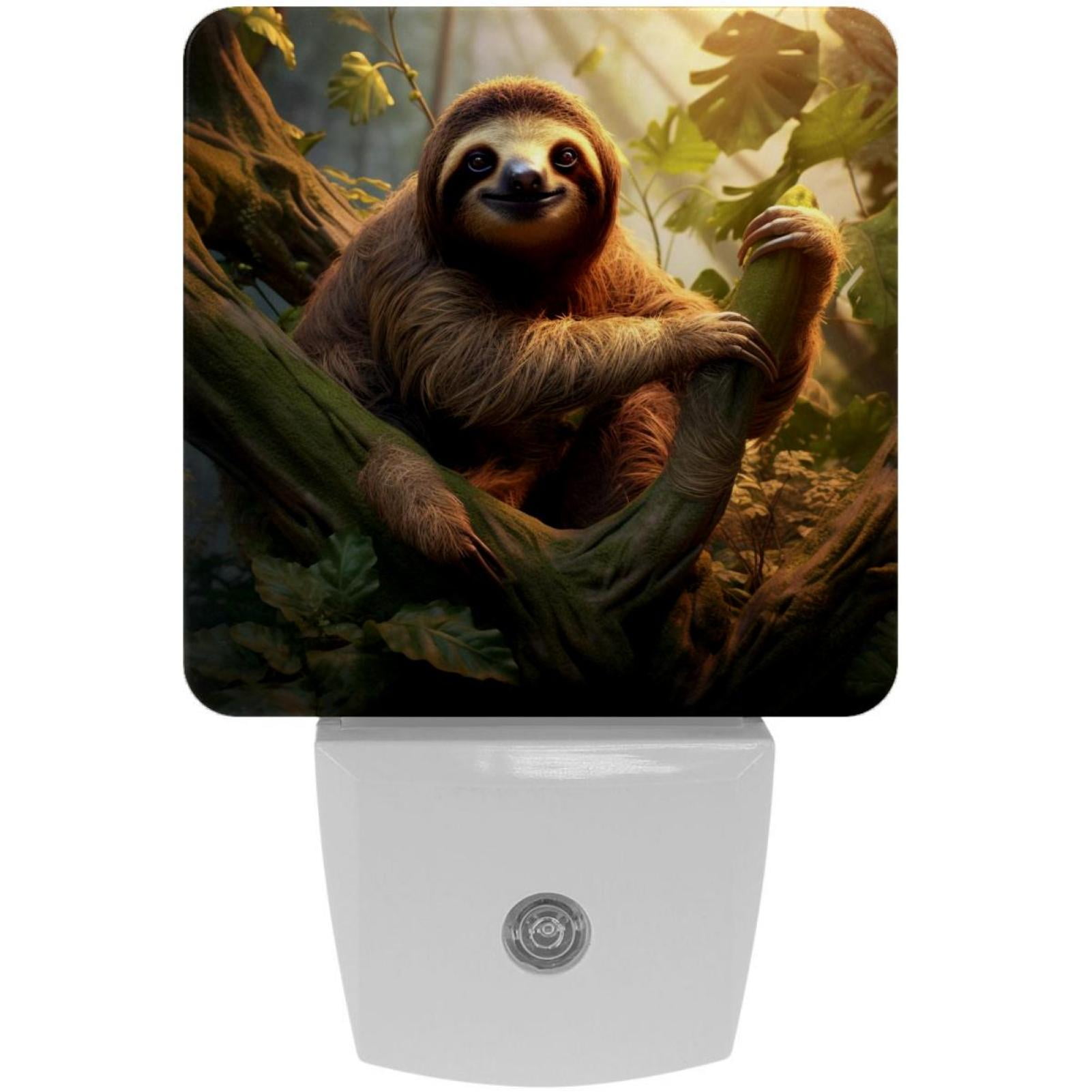 Sloth LED Square Night Light - Compact and Energy Efficient ...