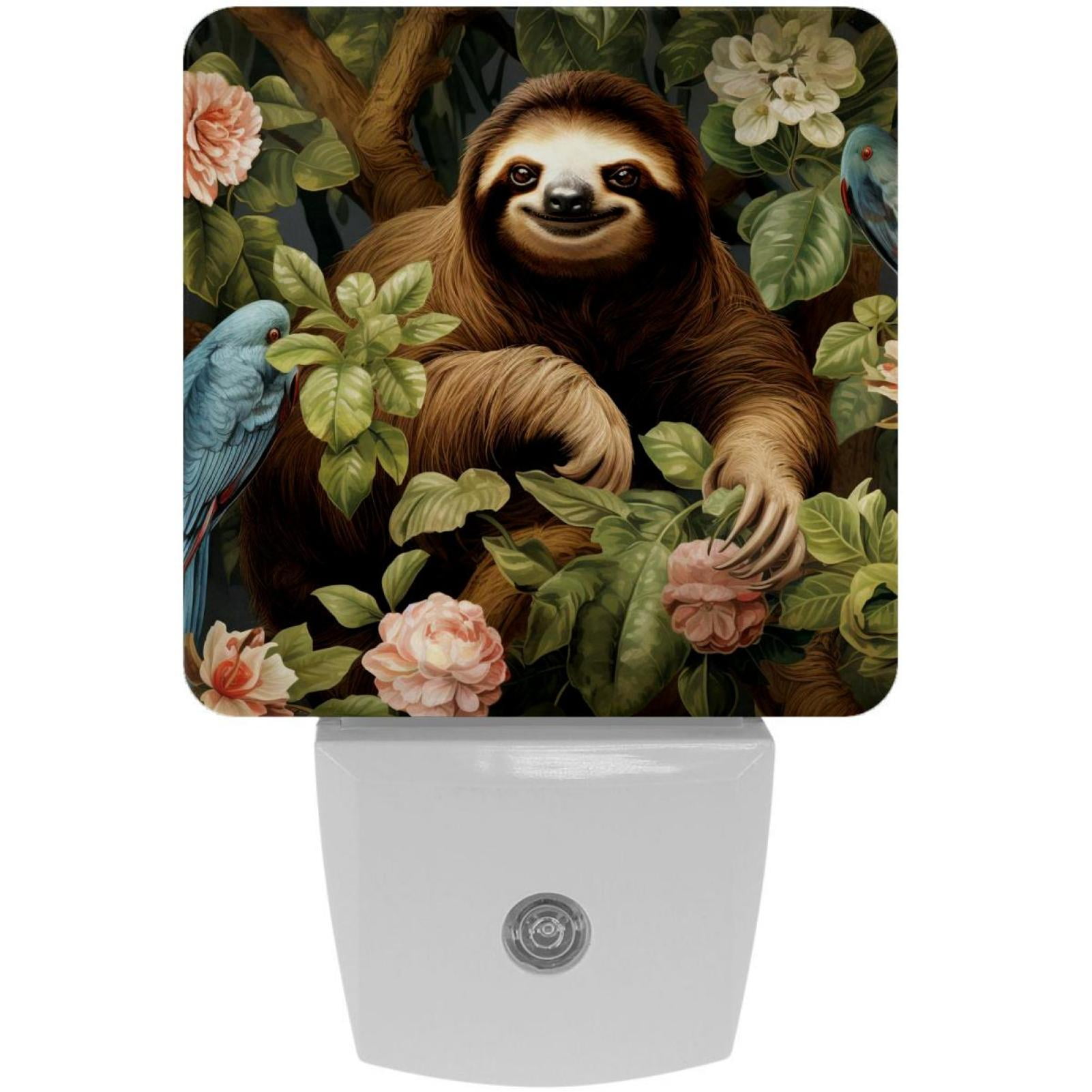 Sloth LED Square Night Lights - Energy Efficient and Contemporary ...