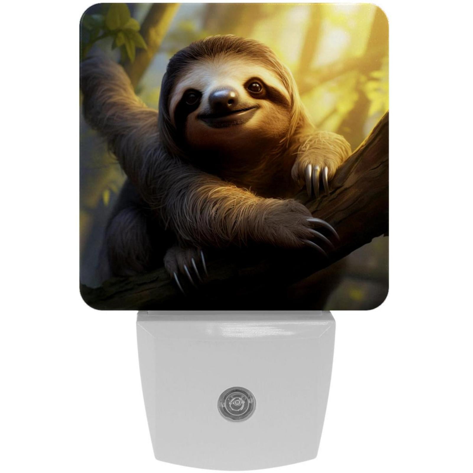 Sloth LED Square Night Lights - Energy Efficient and Stylish Room ...