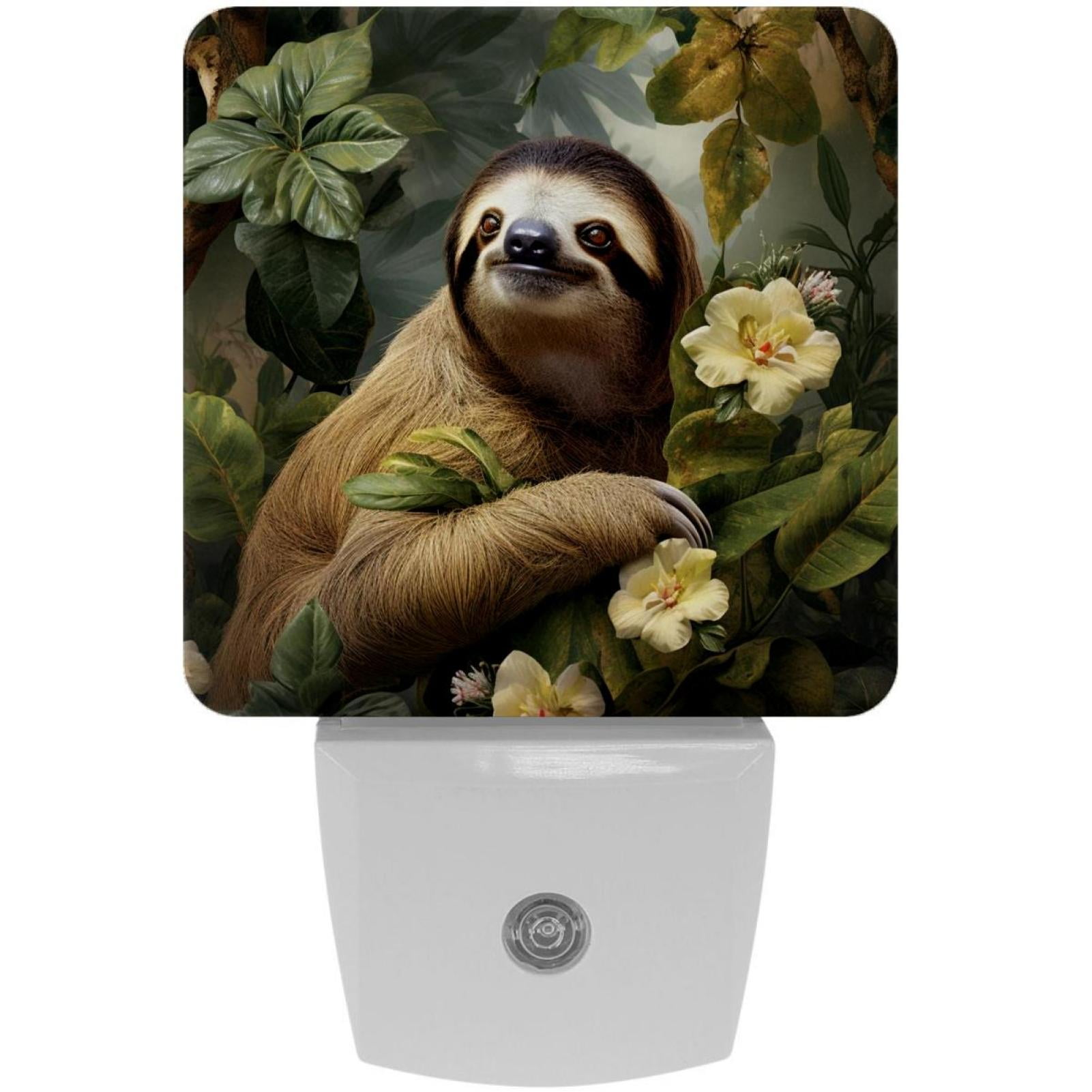 Sloth LED Square Night Lights - Stylish and Energy-Efficient Room ...