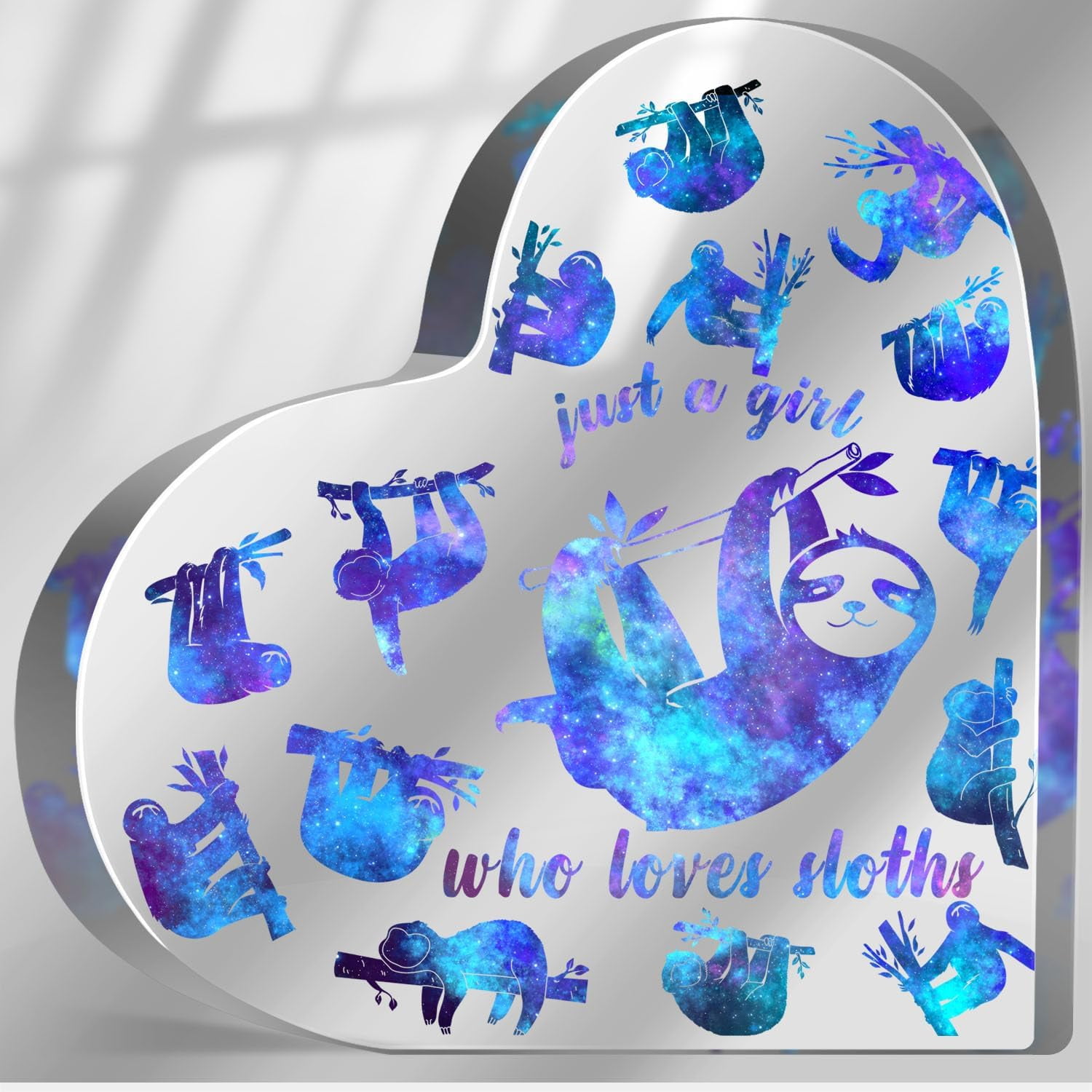 Sloth Lovers Gifts, Sloth Gifts for Women, Sloth Lover Birthday ...