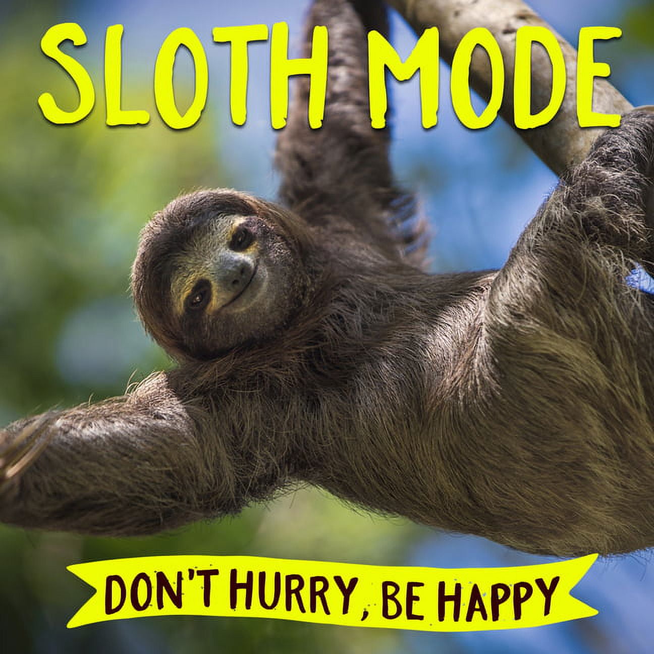 Sloth Mode (Hardcover) - Walmart.com