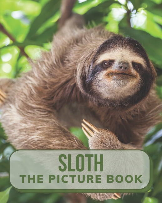 Sloth The Picture Book: Beautiful Picture Book of Sloth Perfect for ...