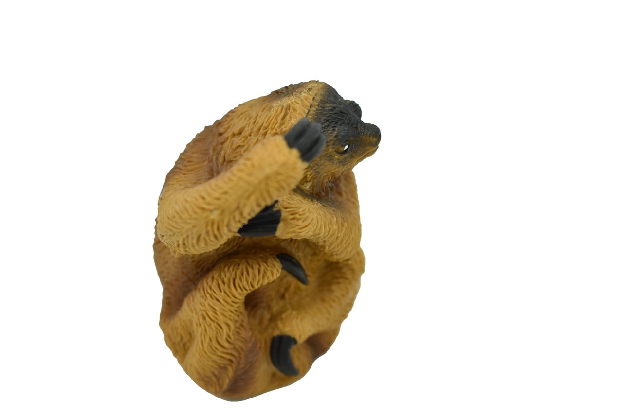 Sloth Three-toed, Realistic Small Toy Model Plastic Replica Rainforest ...