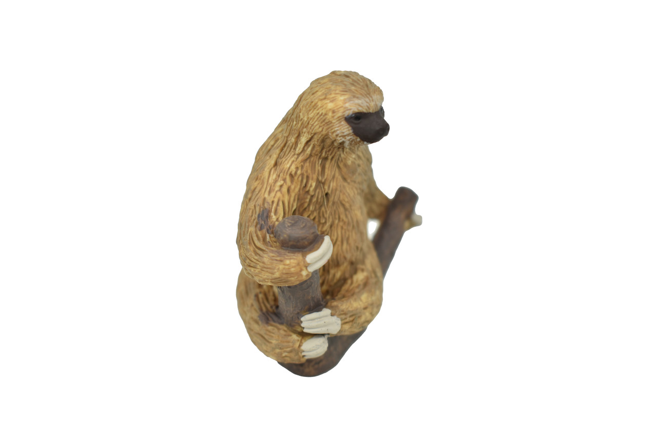 Sloth Two-Toed, Realistic Small Toy Model Plastic Replica Rainforest ...