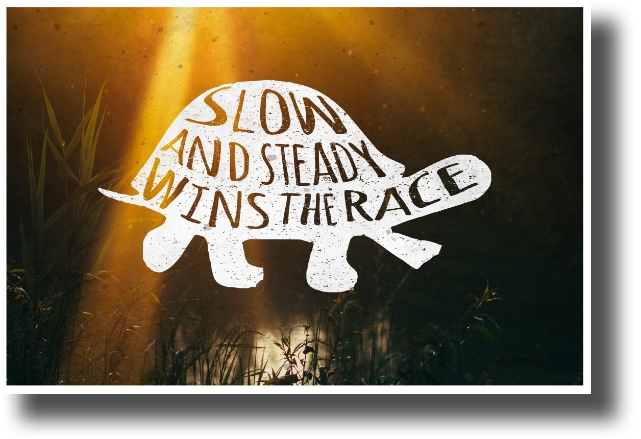 Slow And Steady Wins The Race - NEW Motivational Classroom Poster ...