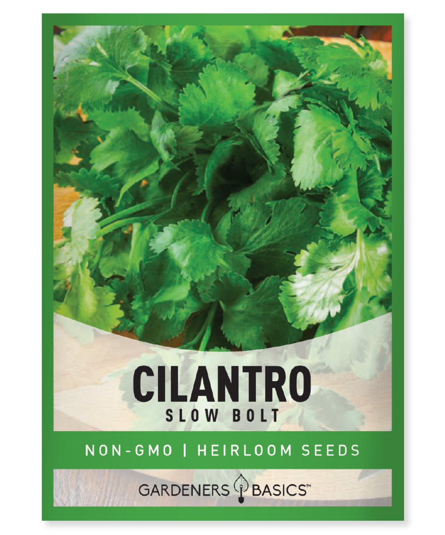 Slow Bolt Cilantro Seeds - Walmart.com