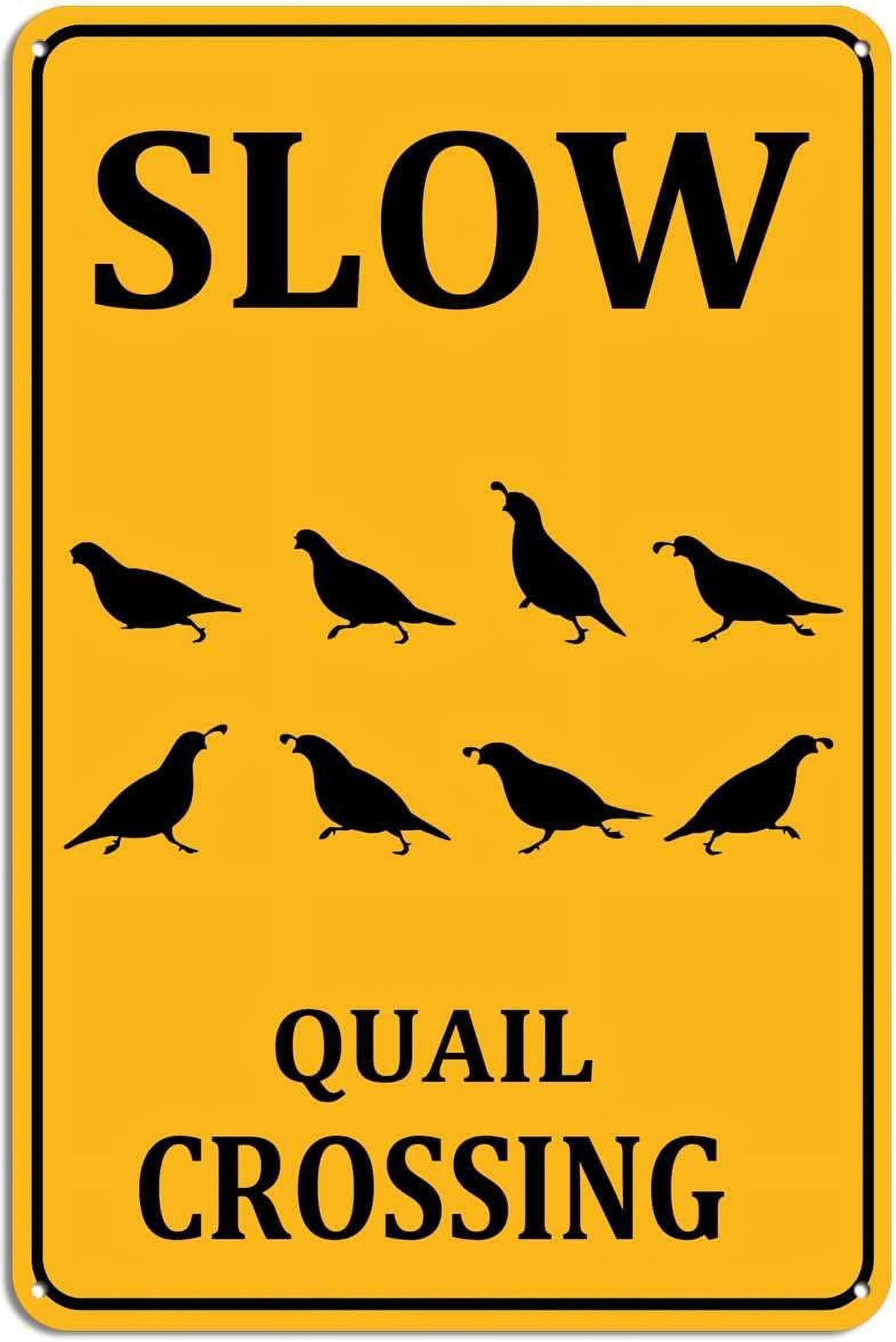 Slow Cat Crossing Sign Aluminum Black on Yellow Wall Decor for Home ...