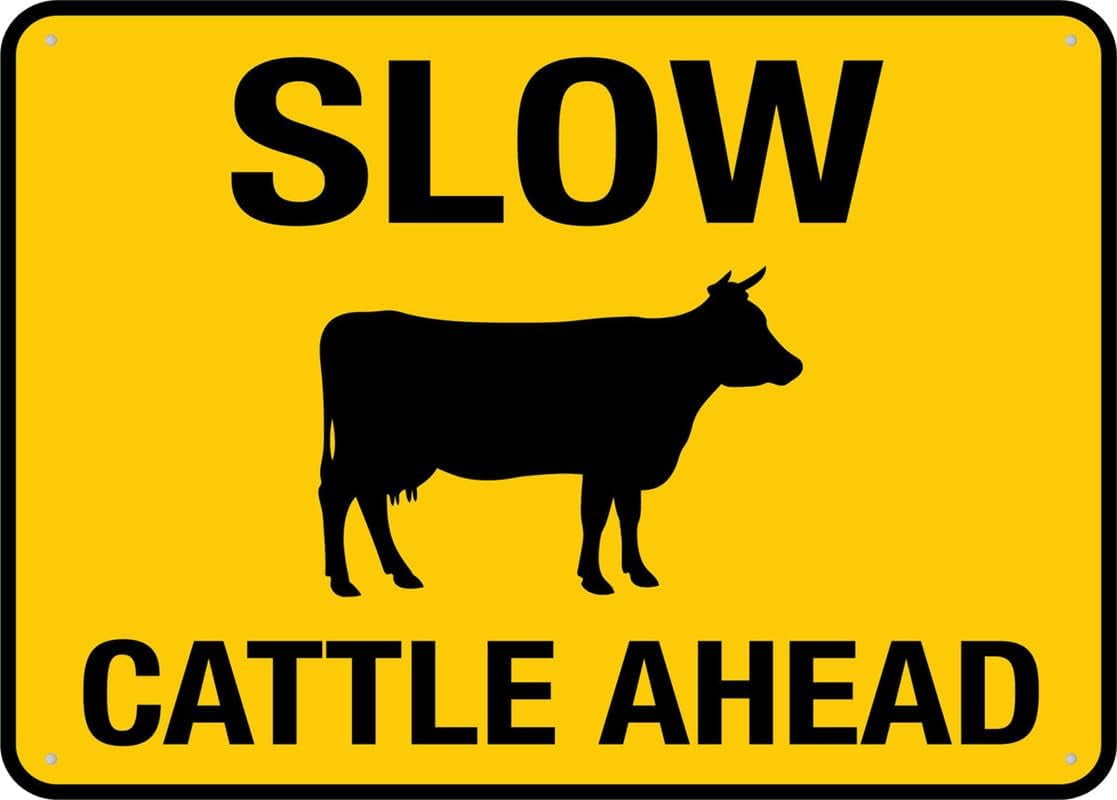 Slow Cattle Ahead Signs Outdoor, Uv Printed Aluminum 12 X 8 In ...