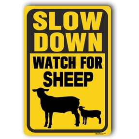 Please Slow Down Signs