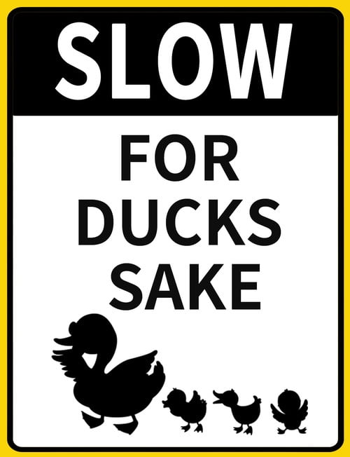 Slow Down for the Ducks Sake, Duck Crossing Sign, Traffic Safety Signs ...
