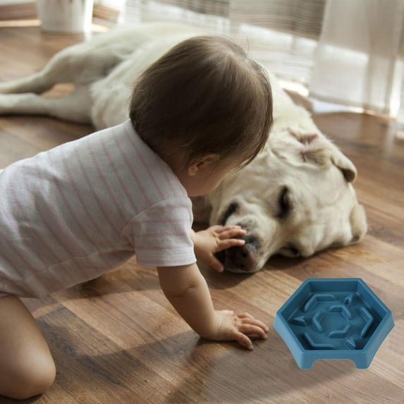 Slow Food Bowls Interactive Puzzle Dog Bowl for Puppies and Dogs – Slow ...