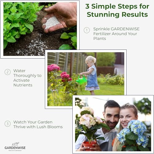 Slow Release Hydrangea Fertilizer with Iron & Sulfur – Indoor & Outdoor ...