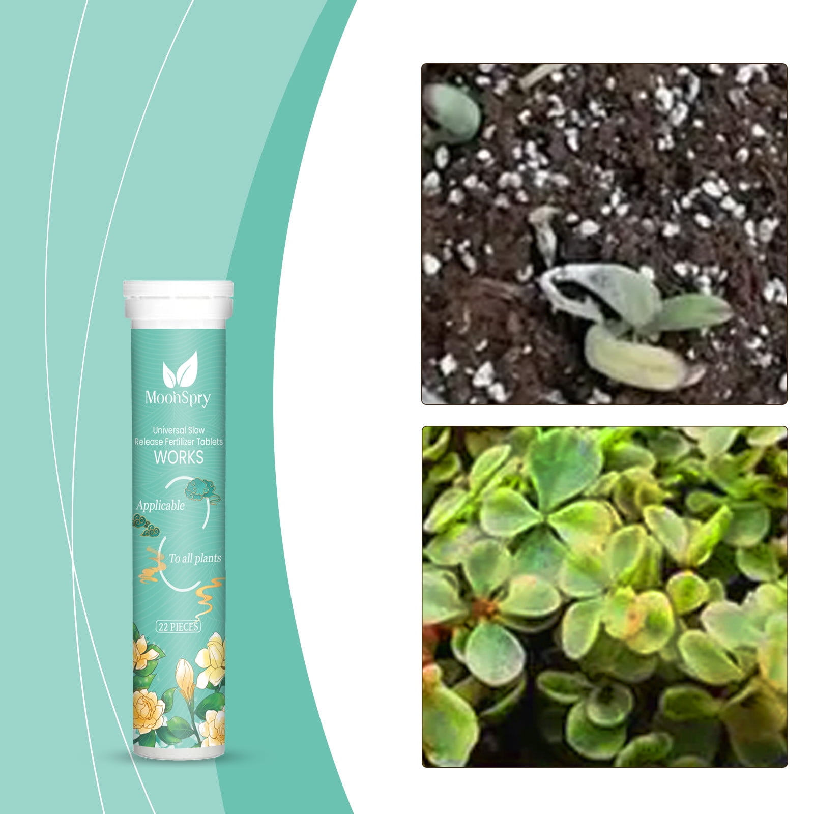 Slow-Release Seaweed Fertilizer Tablets for Plants 22-Count Green Plant ...