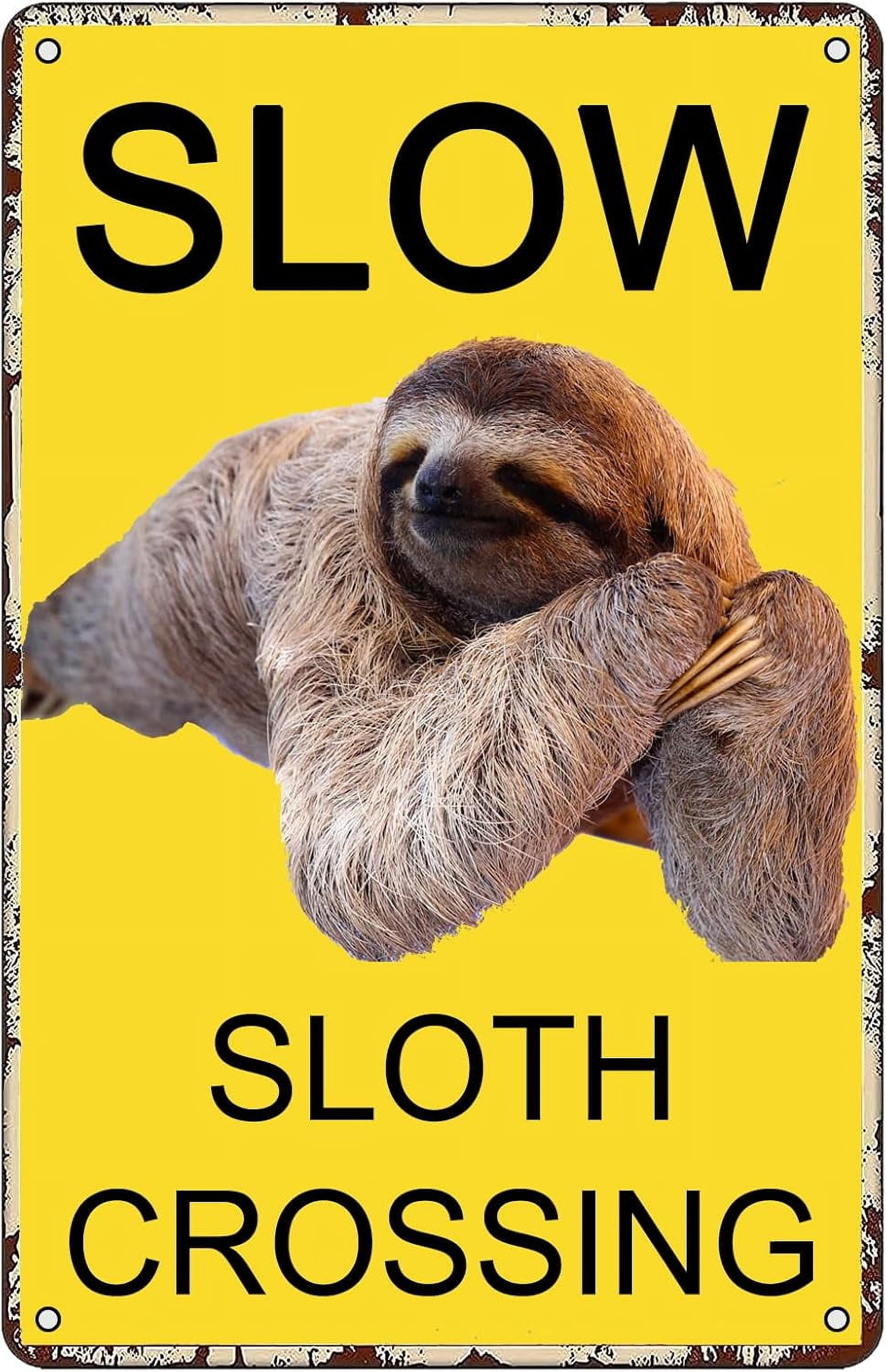 Slow,Sloth Is Crossing Metal Signs- Exquisite Wall Art Decor ...