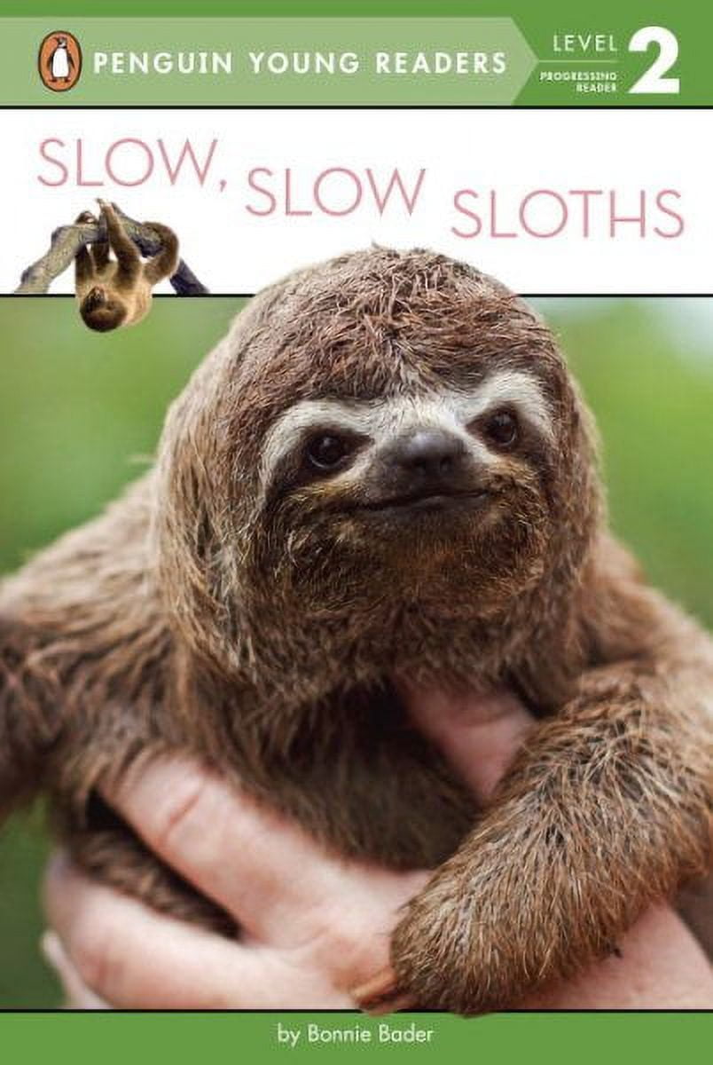Slow, Slow Sloths - Walmart.com