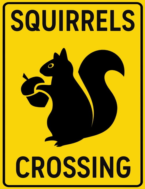 Slow Squirrel Crossing Sign, Slow Down Squirrel Xing Sign, Warning ...