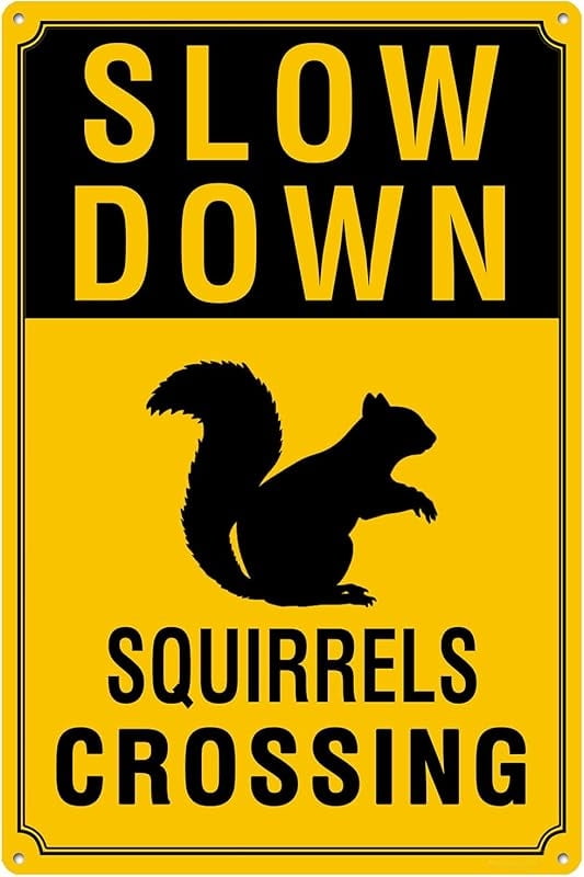 Slow Down - Squirrels Crossing Sign, Durable Aluminum, 8x12 Inches ...