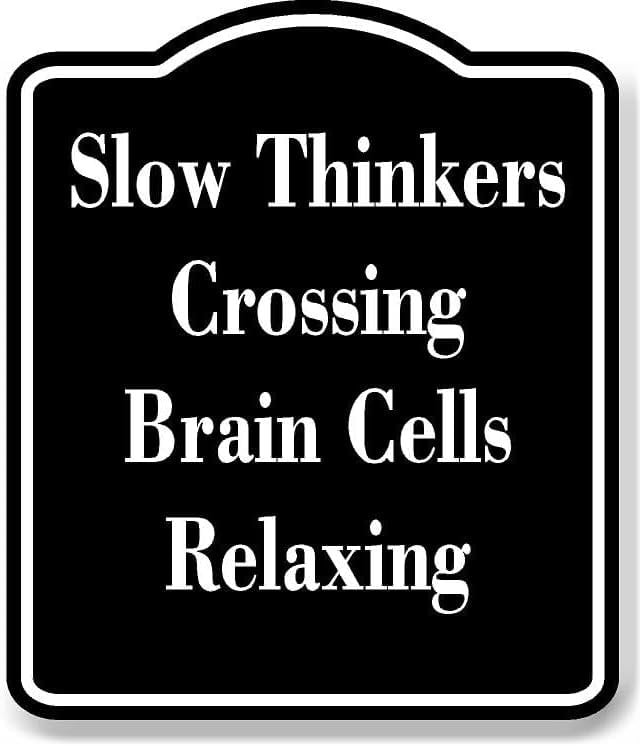 Slow Thinkers Crossing Brain Cells in a Lazy River BLACK Aluminum ...