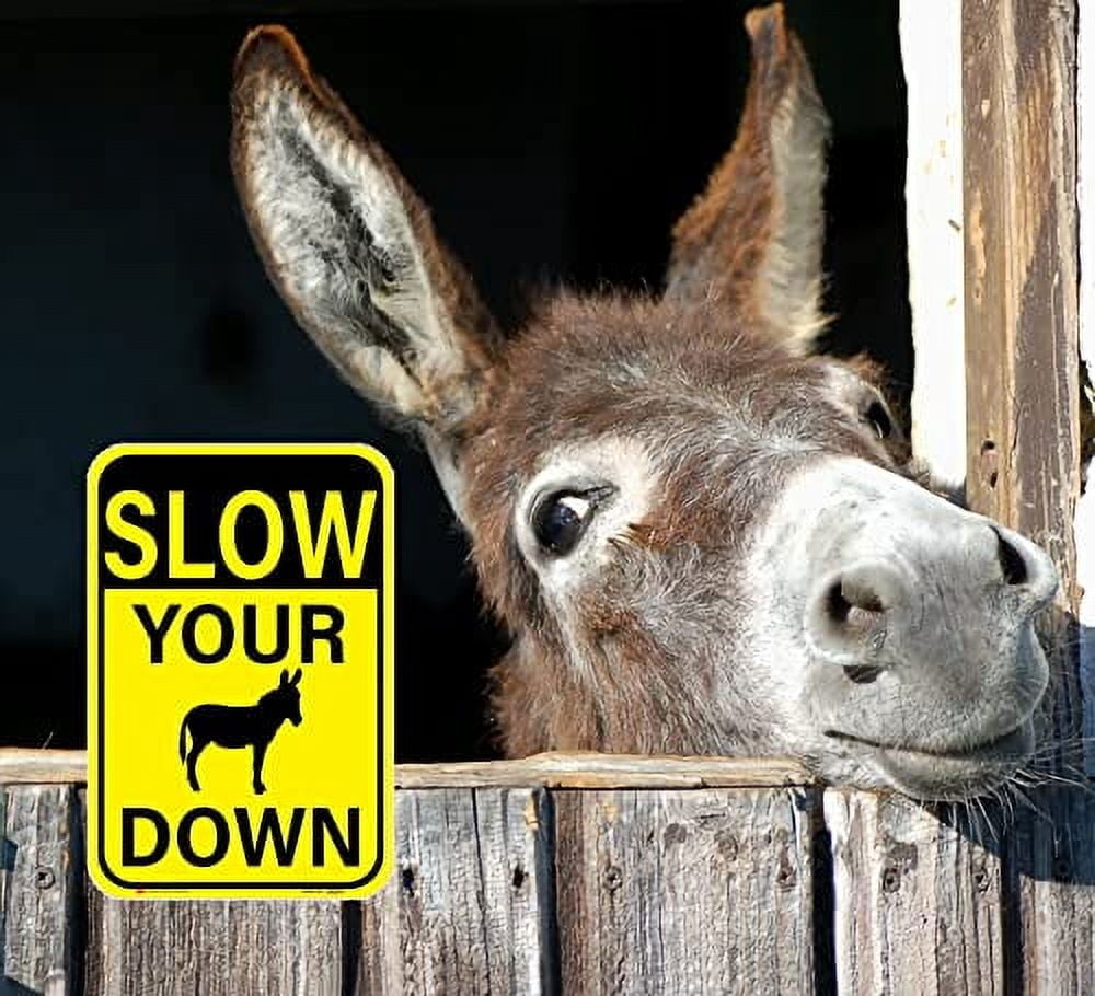 Slow Your (Donkey Image) Down Sign Heavy Duty Aluminum Hip Reflective ...