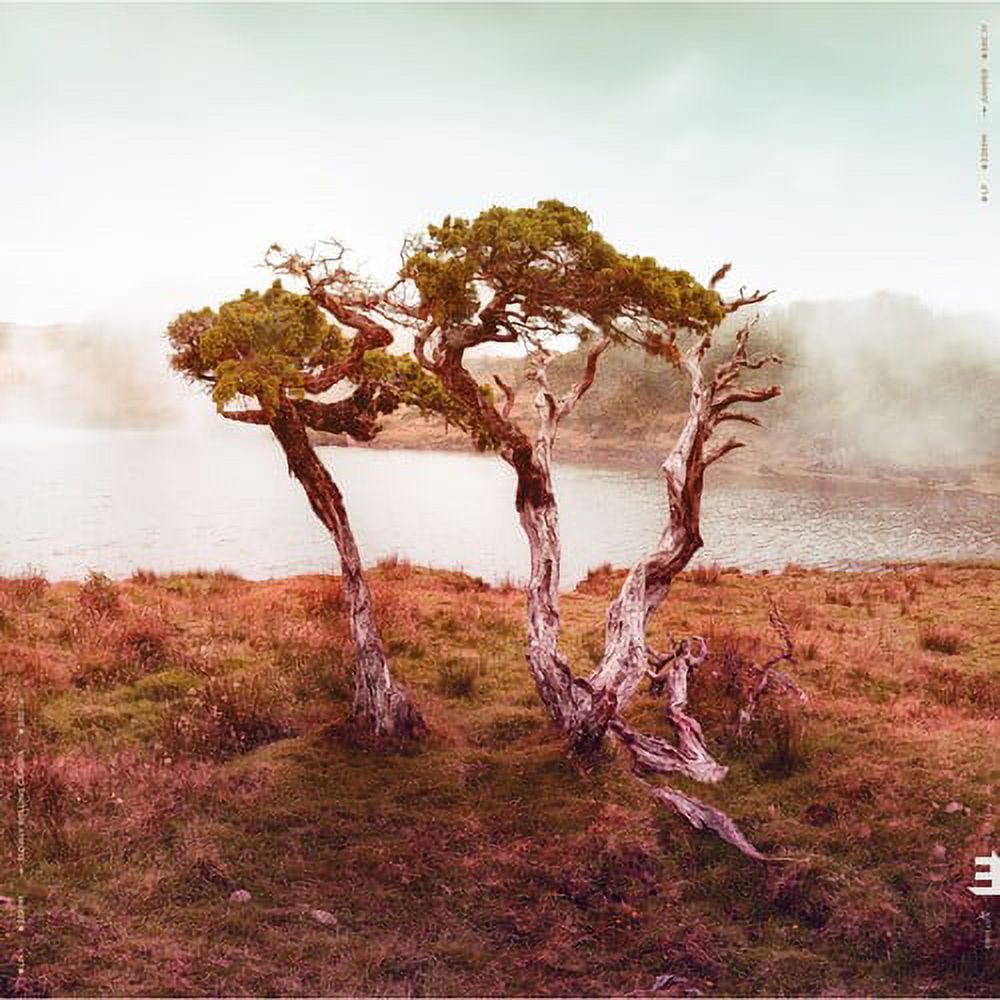 Slowly Rolling Camera - Juniper - Music & Performance - CD - Walmart.com