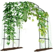 Vego Garden Modular Arched Trellis System Single Section 1.5' Long ...