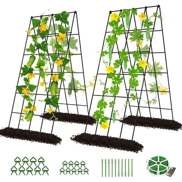 Foldable Cucumber Trellis, Cucumber Trellises A Frame Plant Supports ...