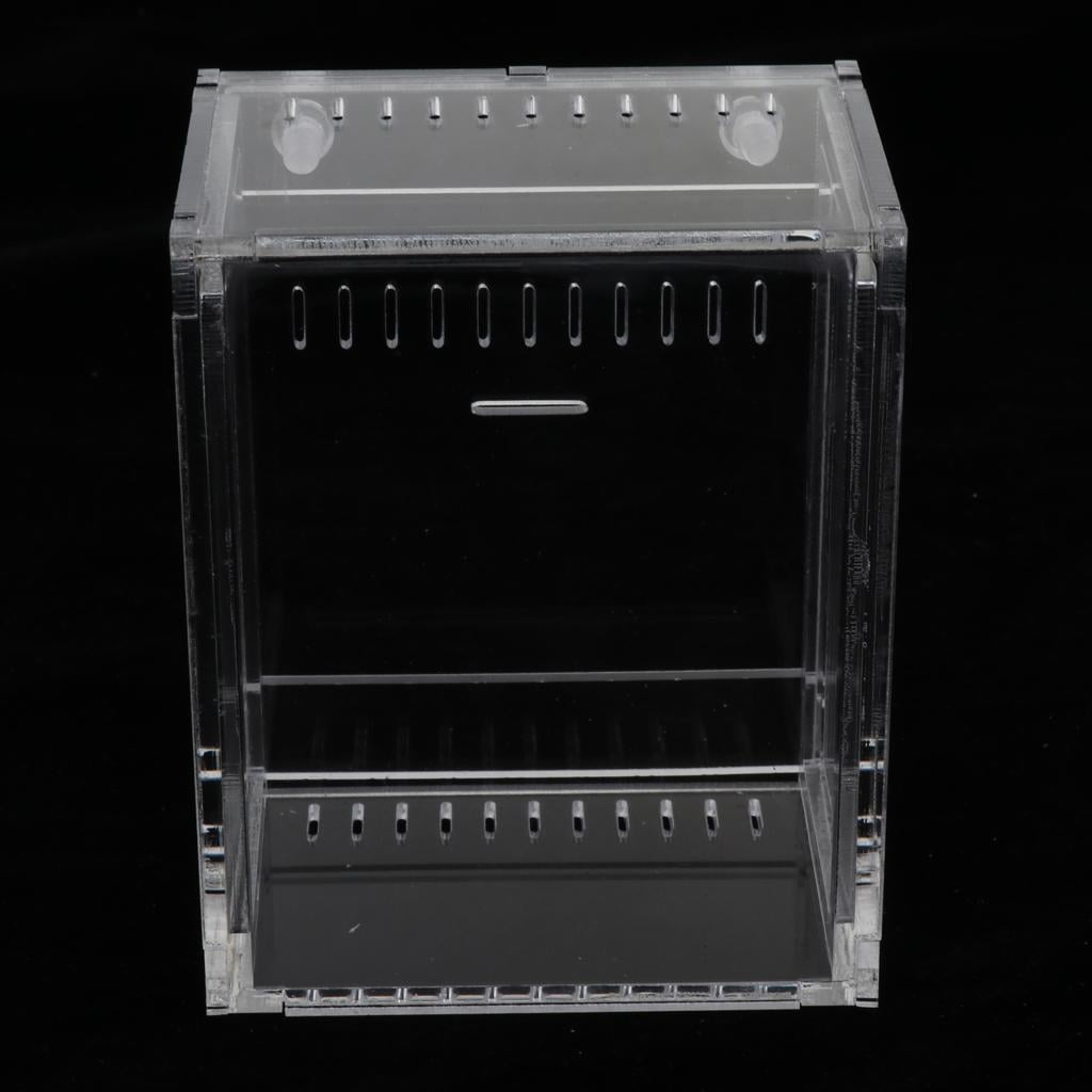 Small Acrylic Reptiles Box Breeding Feeding Tanks Container 10.5x8 ...