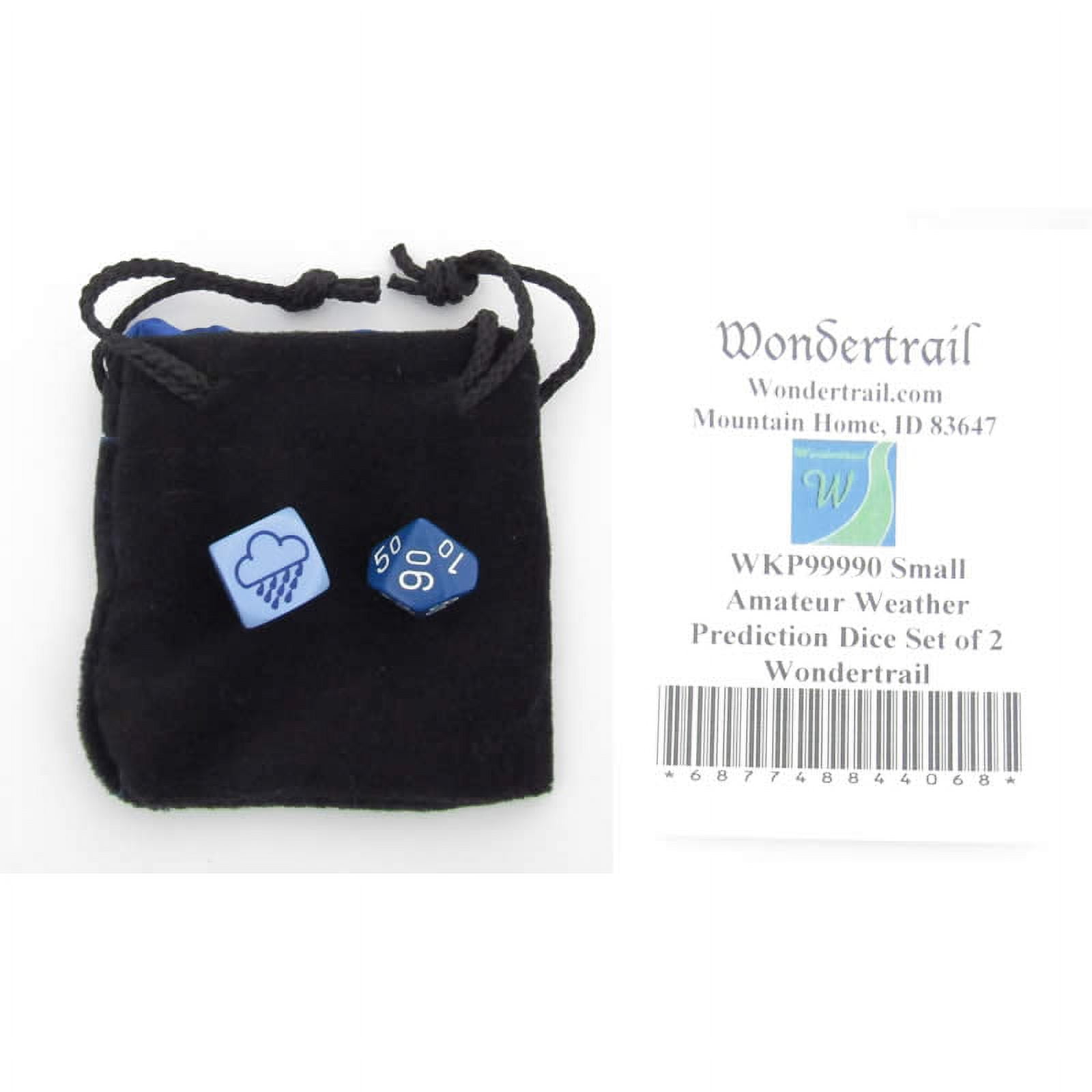 Small Amateur Weather Prediction Novelty Dice Set of 2 Wondertrail ...