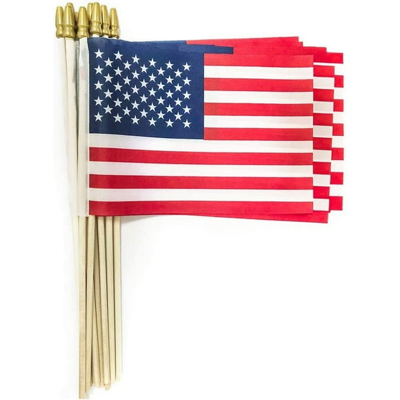 Small American Flag Stick