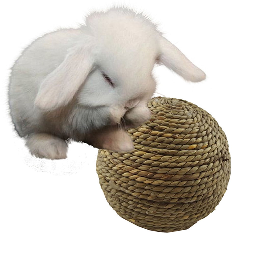 Small Animal Chew Ball Toy Rolling Activity Play Balls Bunny Treat Ball ...