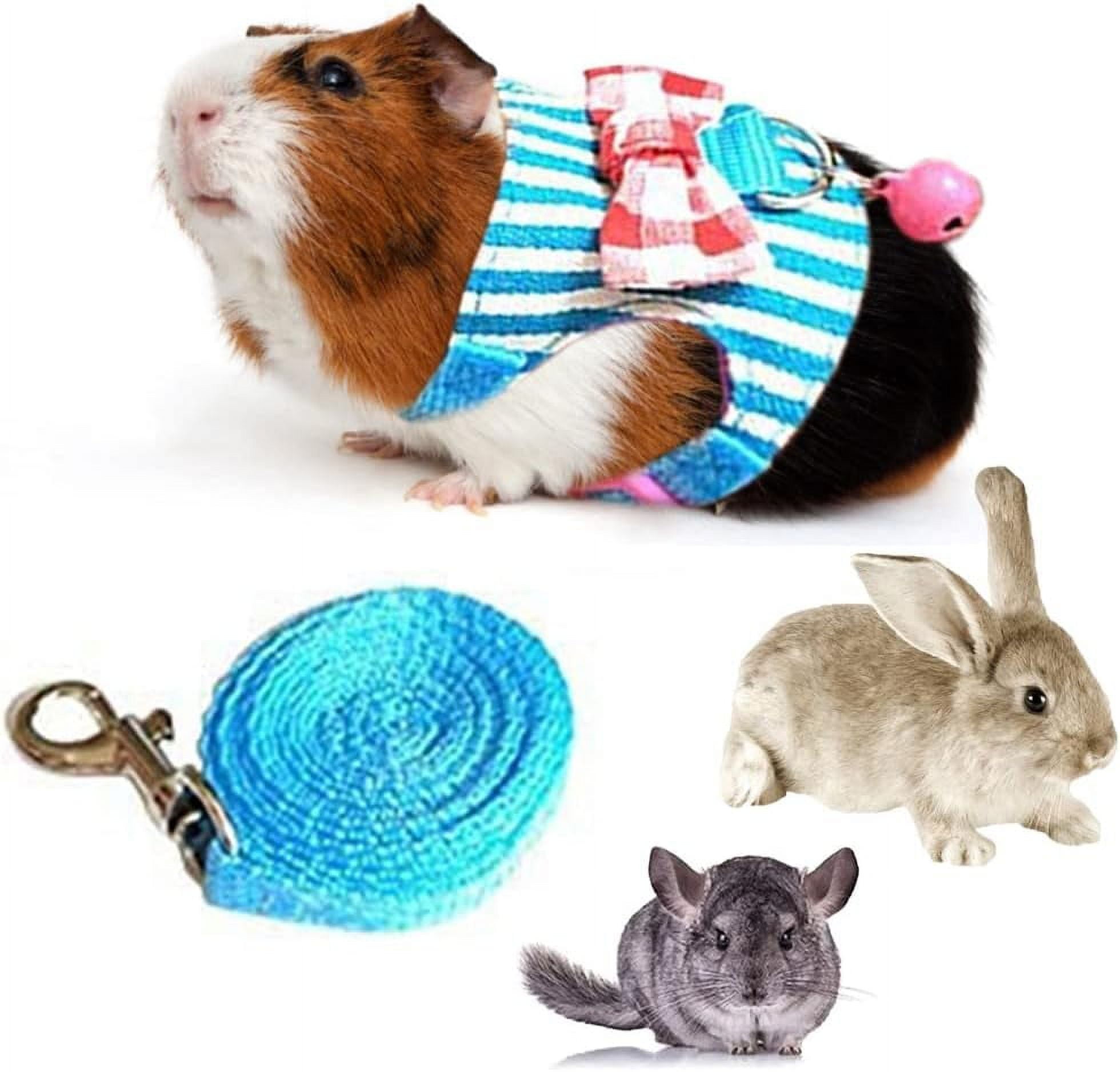 Small Animal Collar Leash Harness with Cute Bows and Bells Comfortable ...