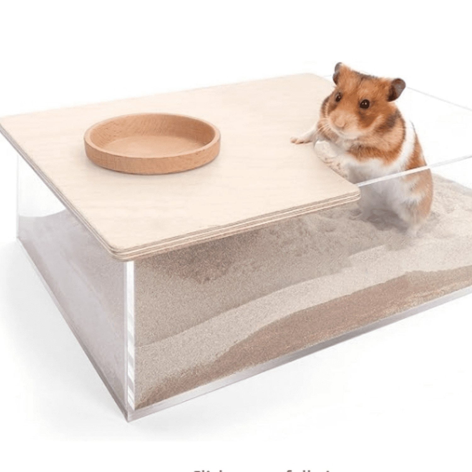 Small Animal Sand-Bath Box: - Acrylic Critter's Sand Bath Shower Room ...