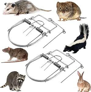 Small Animal Traps Mouse Trap,Spring Trapt Rodent Cage,Suit for Rat ...